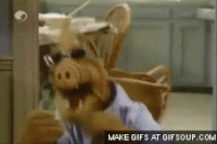 Alf GIFs - Get the best gif on GIFER