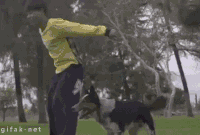 Synchronization GIFs - Get the best gif on GIFER