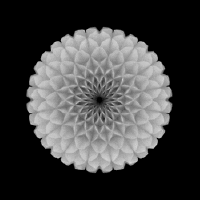 Grayscale GIFs - Get the best gif on GIFER