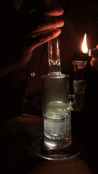 Bong GIFs - Get the best gif on GIFER