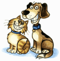 Groom GIFs - Get the best gif on GIFER