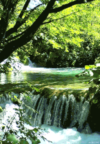 Waterfalls GIFs - Get the best gif on GIFER