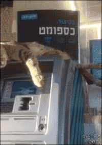 Atm GIFs - Get the best gif on GIFER