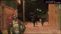 Owned GIFs - Get the best gif on GIFER