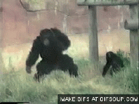 Sprinkler GIFs - Get the best gif on GIFER