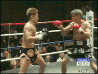 Kickboxing GIFs - Get the best gif on GIFER