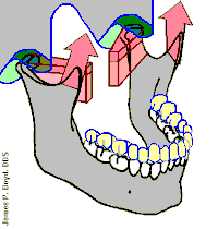 Strain GIF - Conseguir o melhor gif em GIFER