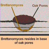 Fases GIFs - Get the best gif on GIFER