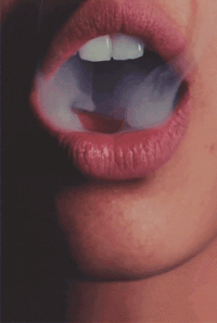 Trilling GIFs - Get the best gif on GIFER