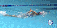 Swim GIFs - Get the best gif on GIFER