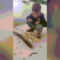 Unexpected GIFs - Get the best gif on GIFER