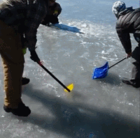 Curling GIFs - Get the best gif on GIFER