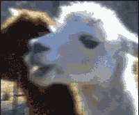 Suspense GIFs - Get the best gif on GIFER