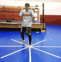 Boxe GIFs - Get the best gif on GIFER