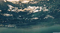 Underwater GIFs - Get the best gif on GIFER