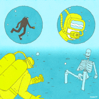 Scuba GIFs - Get the best gif on GIFER