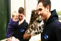 333 GIFs - Get the best gif on GIFER