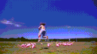 Flamingos GIFs - Get the best gif on GIFER