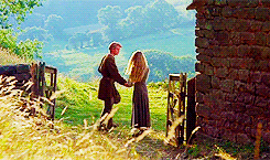 Robin the frog GIFs - Obtenez le meilleur gif sur GIFER