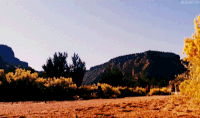 Yuma GIFs - Get the best gif on GIFER