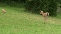Retreats GIFs - Get the best gif on GIFER