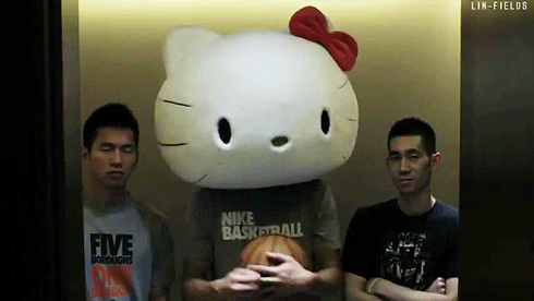 Shea GIFs - Get the best gif on GIFER