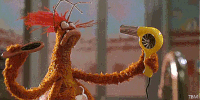 Muppets GIFs - Get the best gif on GIFER