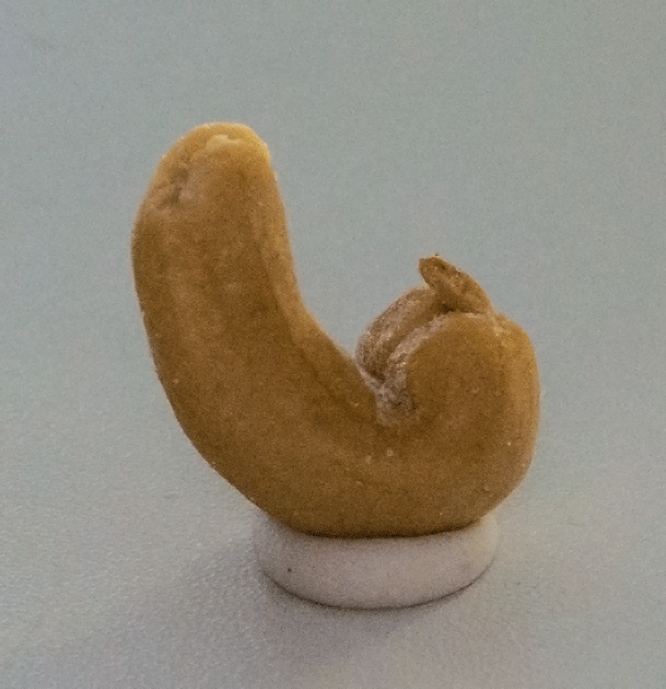 Cashew GIFs - Get the best gif on GIFER