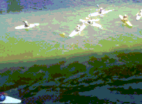 Kayak GIFs - Get the best gif on GIFER