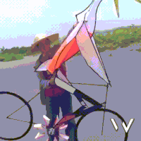 Kite GIFs - Get the best gif on GIFER