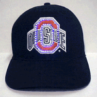 Buckeyes GIFs - Get the best gif on GIFER