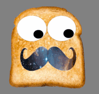 Toast GIFs - Get the best gif on GIFER