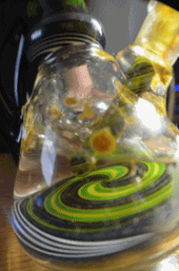 Dablife GIFs - Get the best gif on GIFER