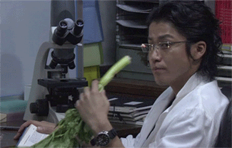 Amusing moments GIF - Conseguir o melhor gif em GIFER
