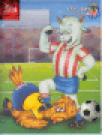 Chiva GIFs - Get the best gif on GIFER