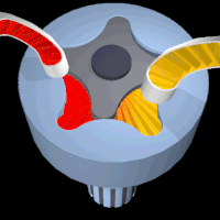 Pumping GIFs - Get the best gif on GIFER