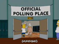 Voting GIFs - Get the best gif on GIFER