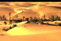Desert GIFs - Get the best gif on GIFER