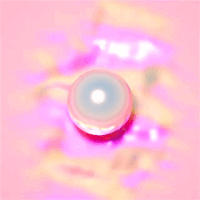 Pearls GIFs - Get the best gif on GIFER