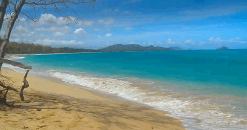 Mallorca GIFs - Get the best gif on GIFER