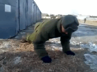 Soldiers GIFs - Get the best gif on GIFER