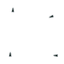 Flies гифки, анимированные GIF изображения flies - скачать гиф картинки ...
