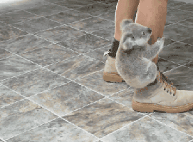 Hold GIFs - Get the best gif on GIFER
