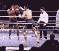 Kick boxing GIFs - Get the best gif on GIFER
