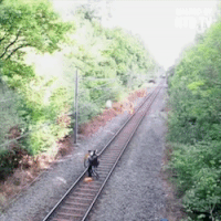 Rail GIFs - Get the best gif on GIFER