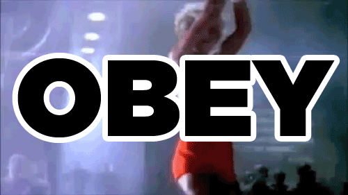 Cheeseheads GIFs - Get the best gif on GIFER