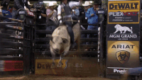 Pbr GIFs - Get the best gif on GIFER
