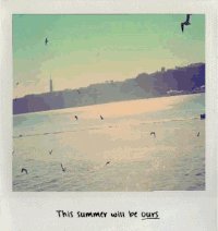 Flocking GIFs - Get the best gif on GIFER