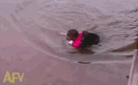 Floatie GIF - Conseguir el mejor gif en GIFER