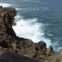 Okinawa GIFs - Get the best gif on GIFER